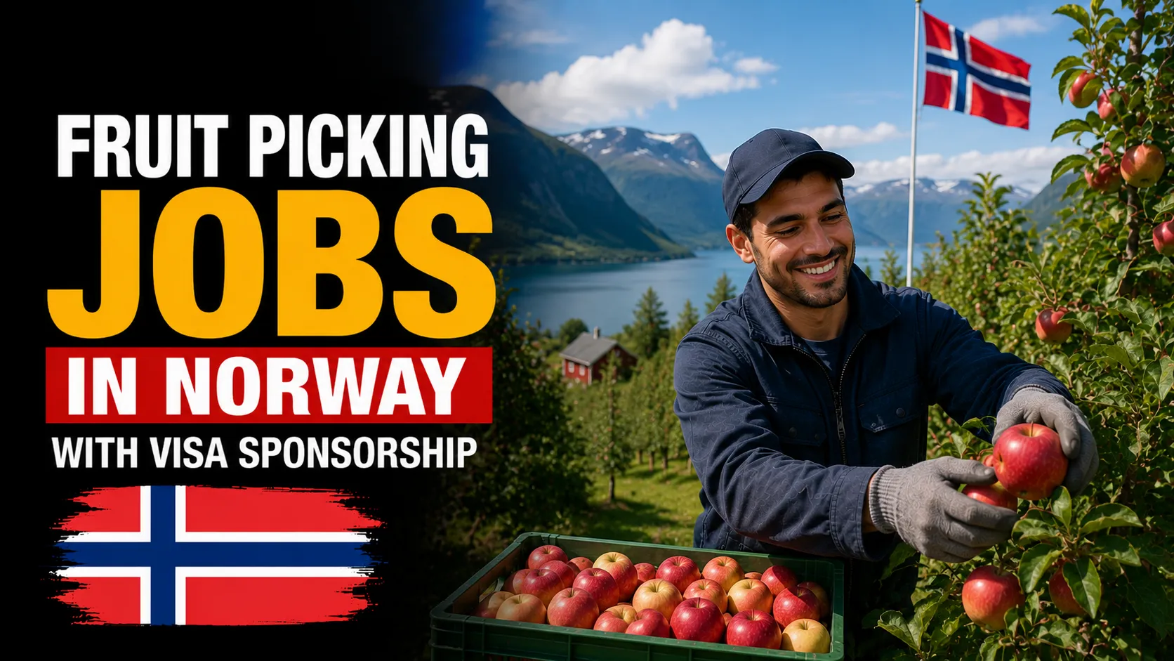 Fruit Picking Jobs in Norway with Visa Sponsorship 2026