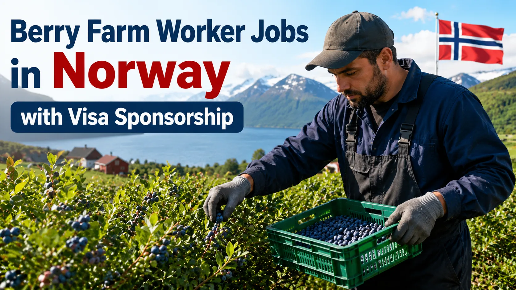 Berry Farm Worker Jobs in Norway with Visa Sponsorship 2026