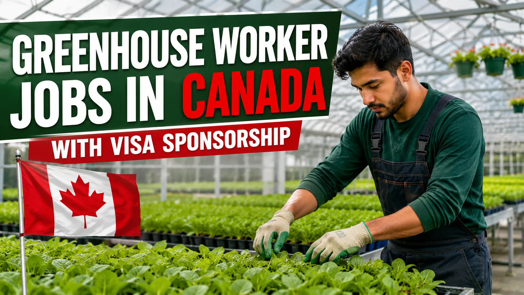 Greenhouse Worker Jobs in Canada with Visa Sponsorship 2026